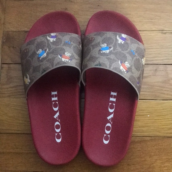Coach | Shoes | Coach Udele Printed Signature Slide | Poshmark